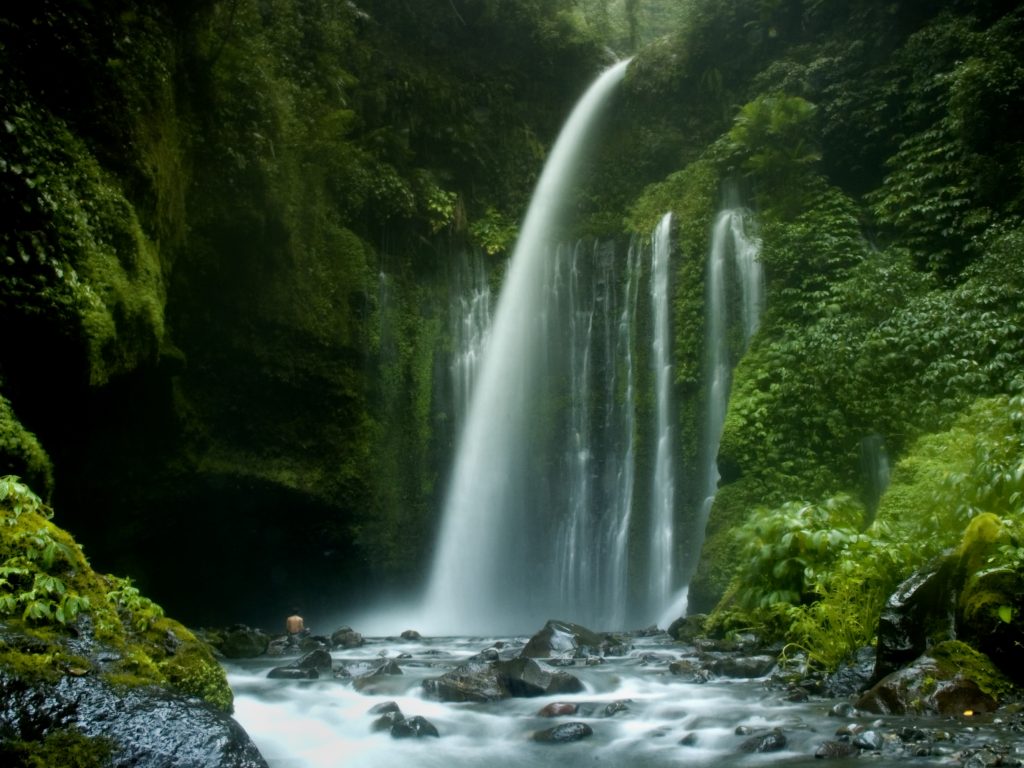 Lombok Travel Lombok Waterfall Day Tour Wandernesia