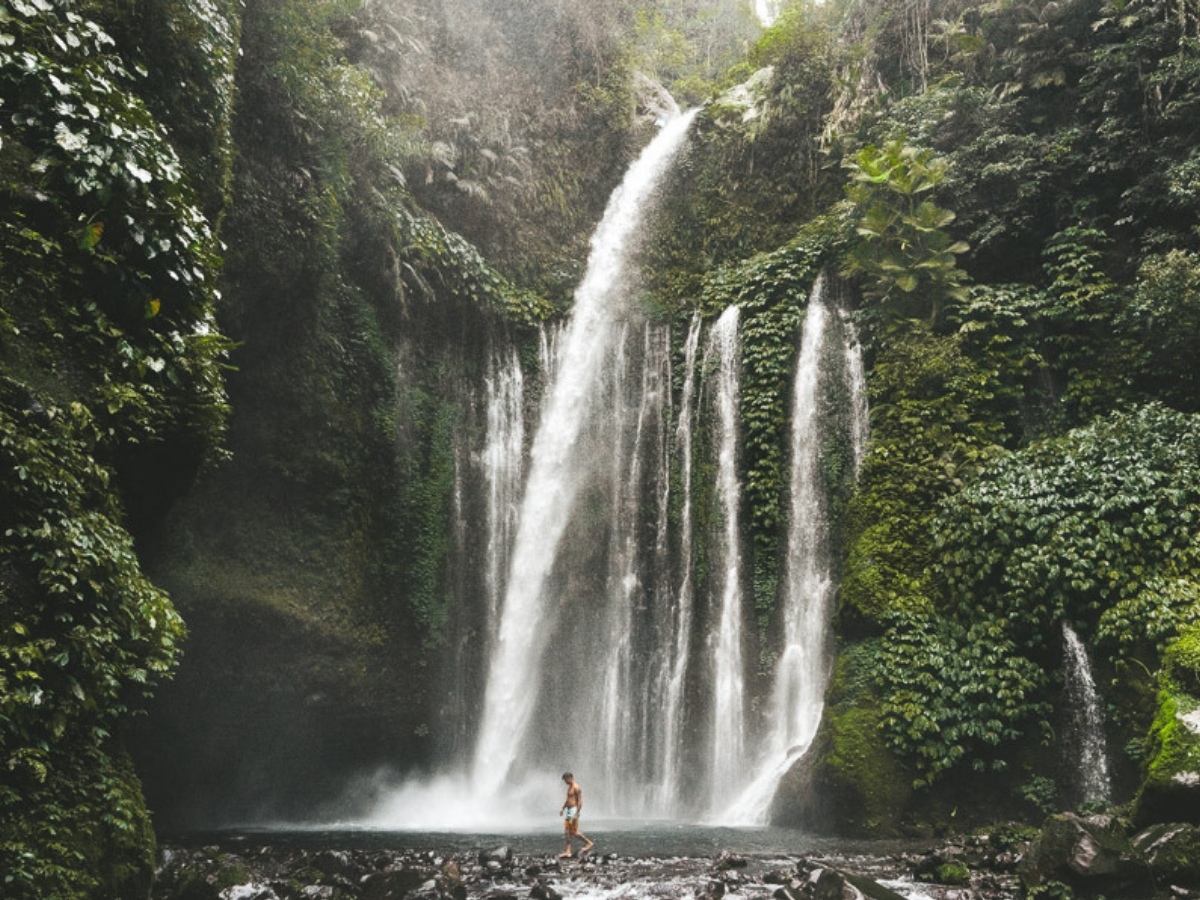 Lombok Waterfall Tour with Forest and Hill: All Inclusive - Wandernesia Lombok Waterfall Tour with Forest and Hill: All Inclusive - Wandernesia